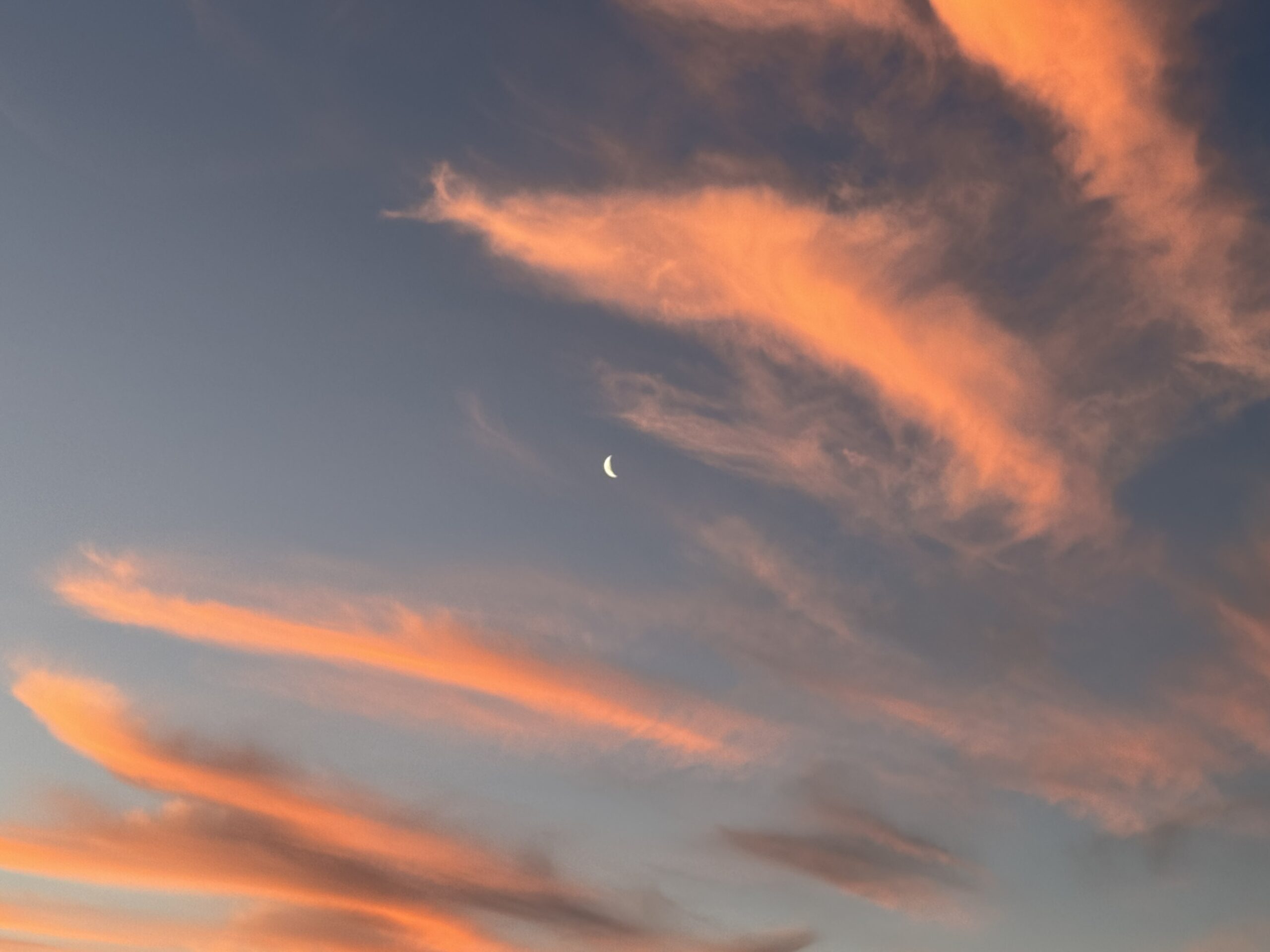 What is a Fractional role and why should you care? - AgileData.team